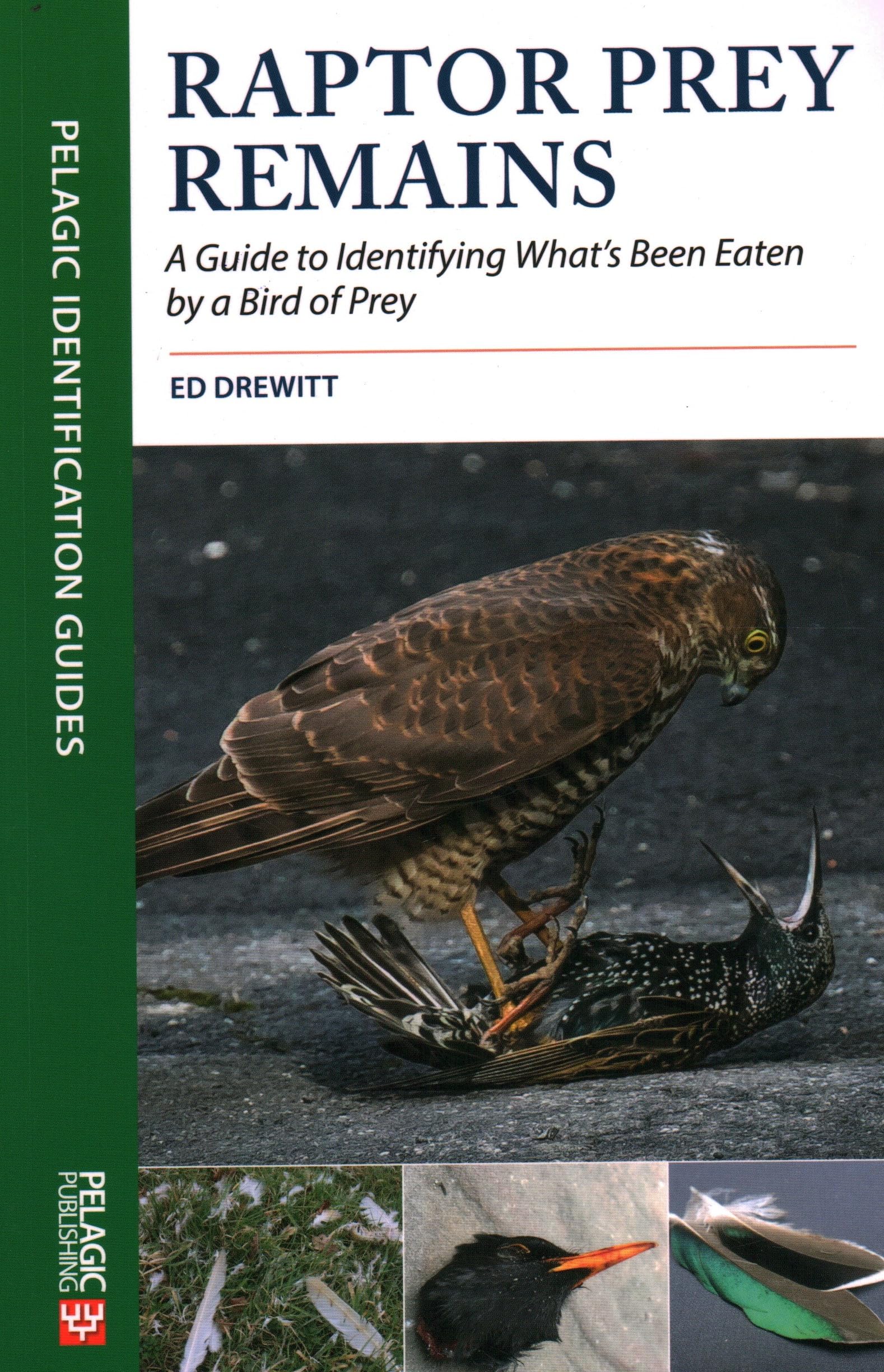 Raptor Prey Remains: A Guide to Identifying What's Been Eaten by a Bird ...
