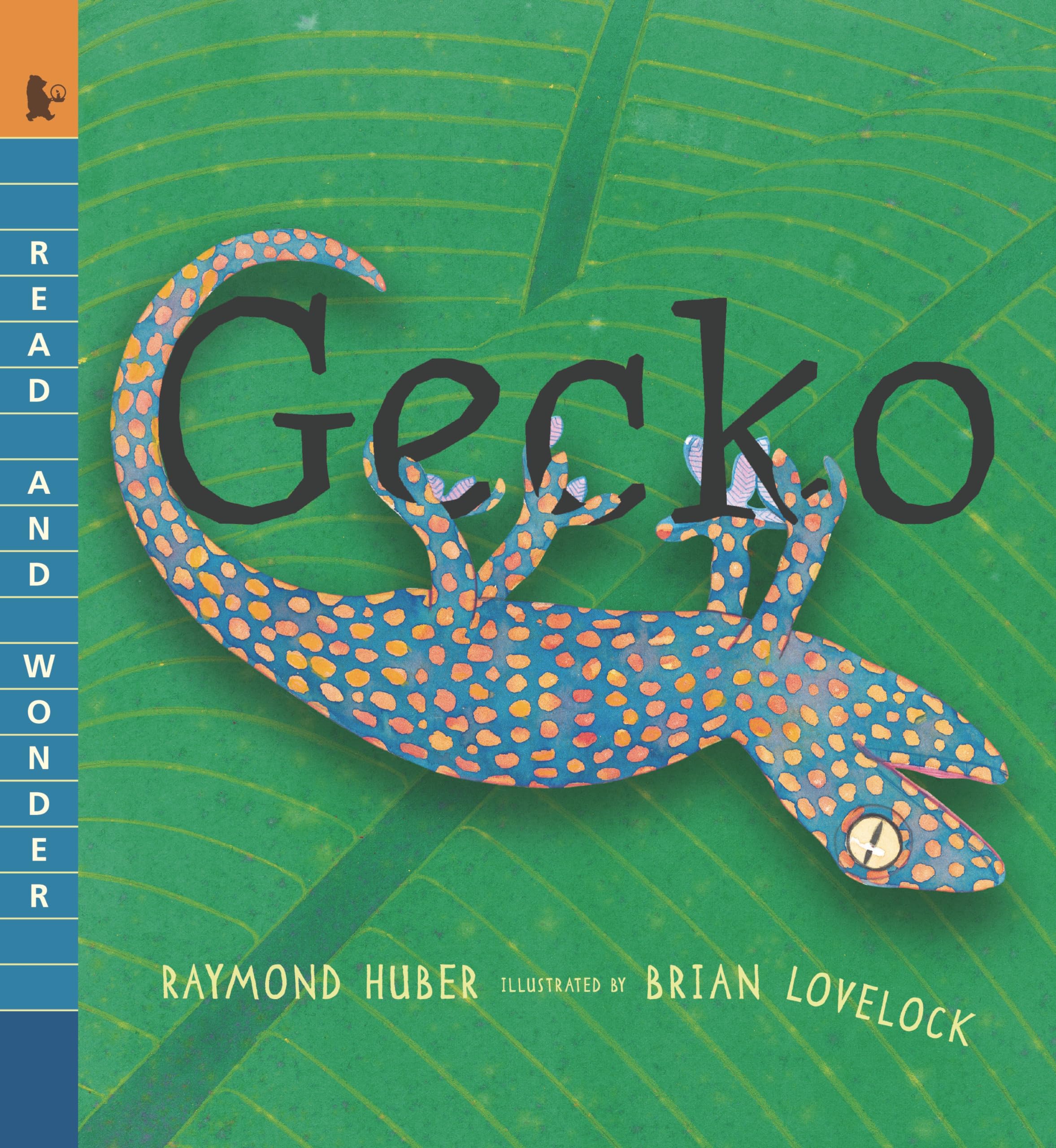 Gecko: Read and Wonder: Huber, Raymond, Lovelock, Brian: 9781536233278 ...
