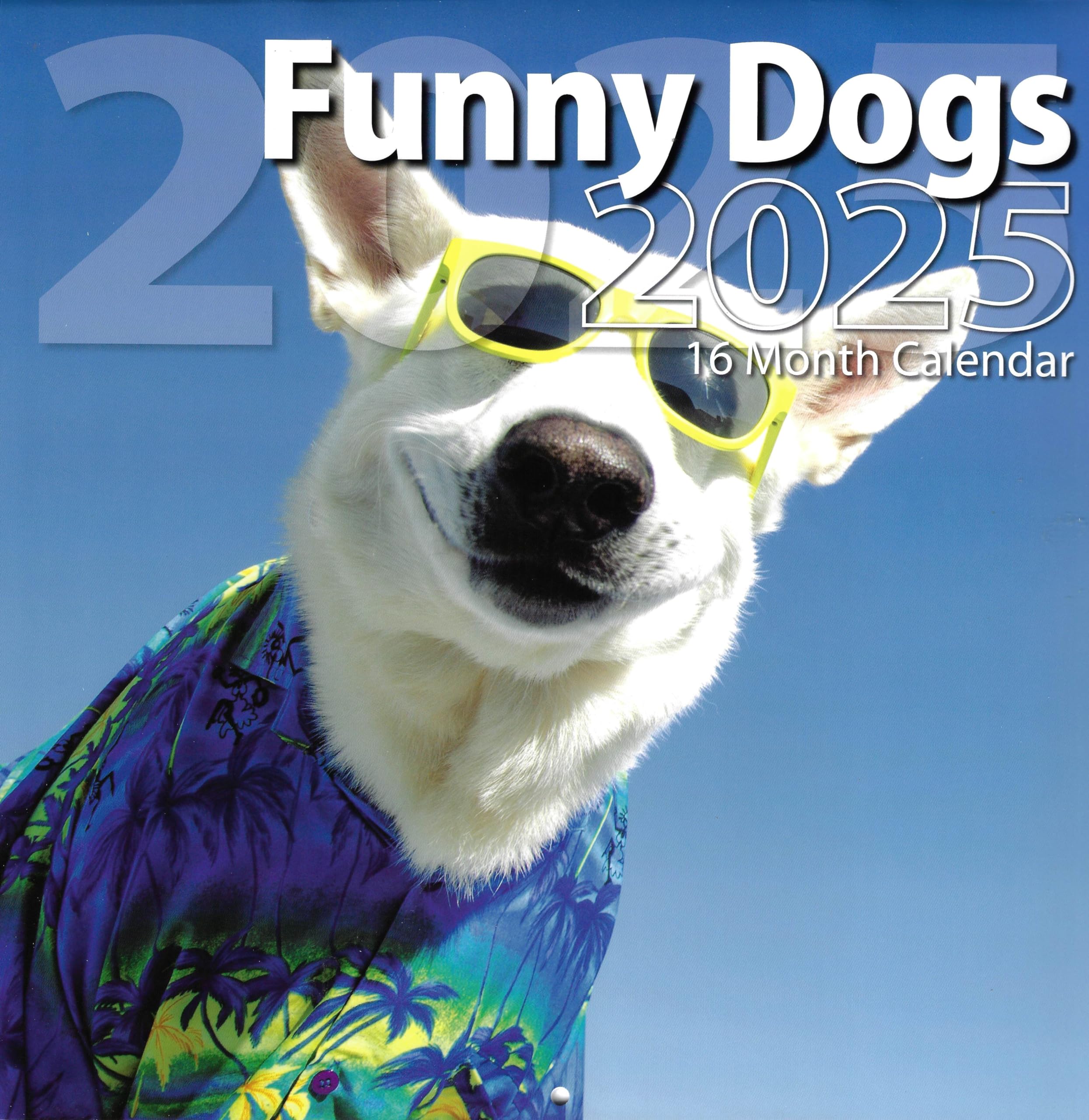 Amazon.com: Bachmann Press 2025 Funny Dogs Full Size Wall Calendar for ...