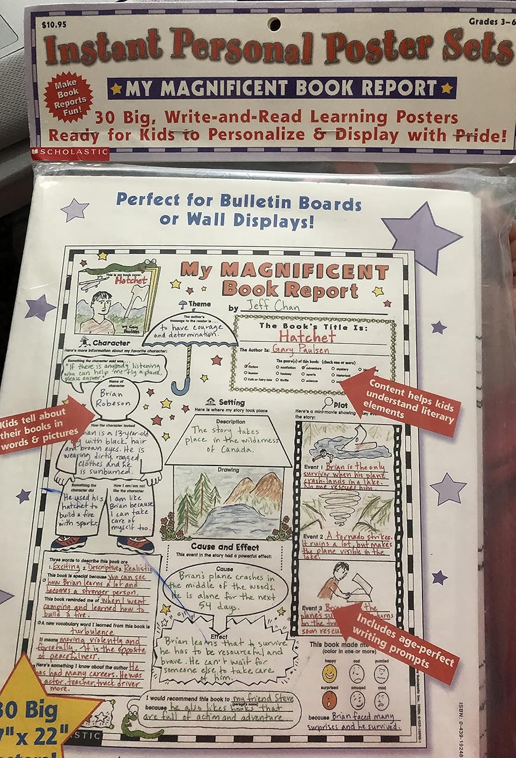 Instant Personal Poster Sets: My Magnificent Book Report : 30 Big ...