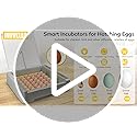 Amazon.com: 36-60 Egg Incubator with Automatic Egg Turning and Humidity Control, 360° View ...