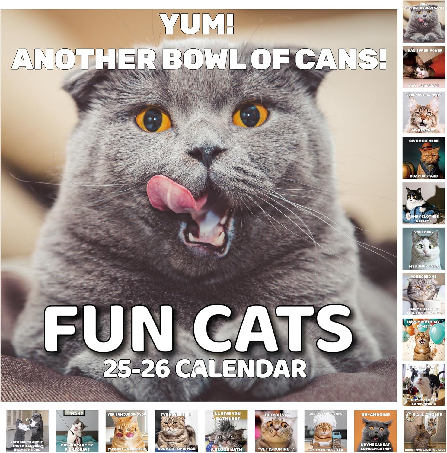 Funny Cats Calendar With Daily Photos 2026 Calendar - 2026 Wall ...