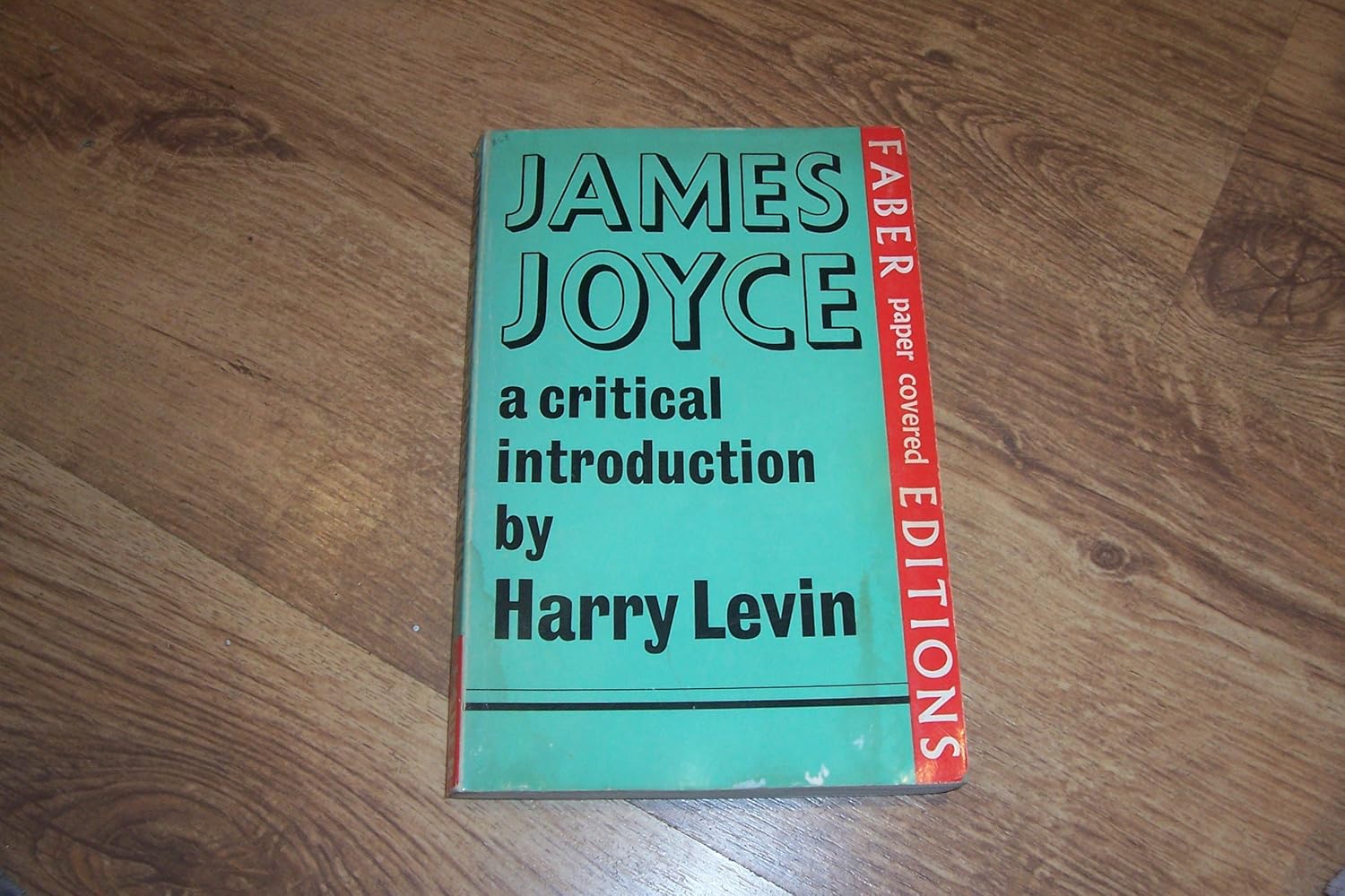 Buy James Joyce: A Critical Introduction Book Online at Low Prices in ...