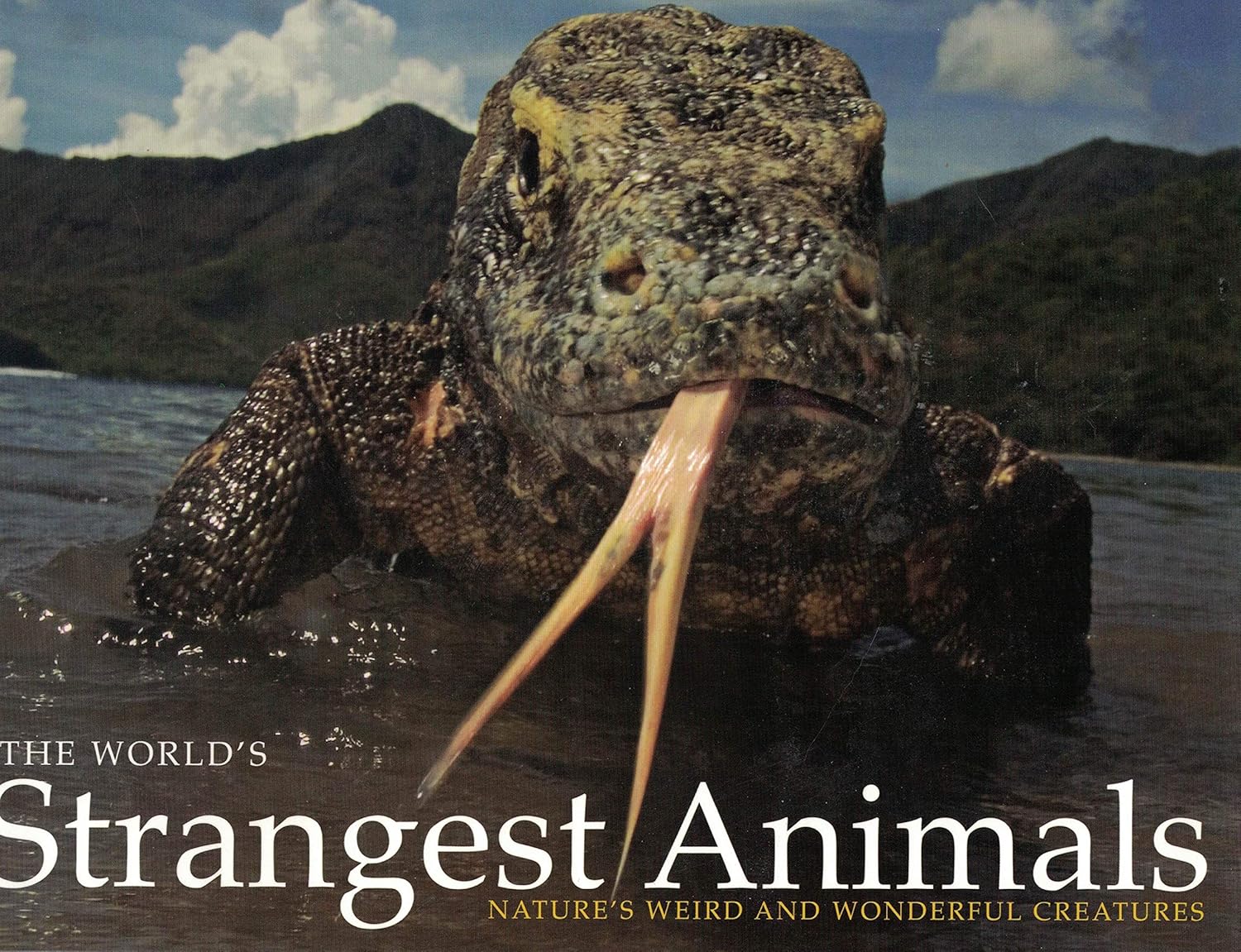 The World's Strangest Animals (Nature's weird and wonderful creatures ...