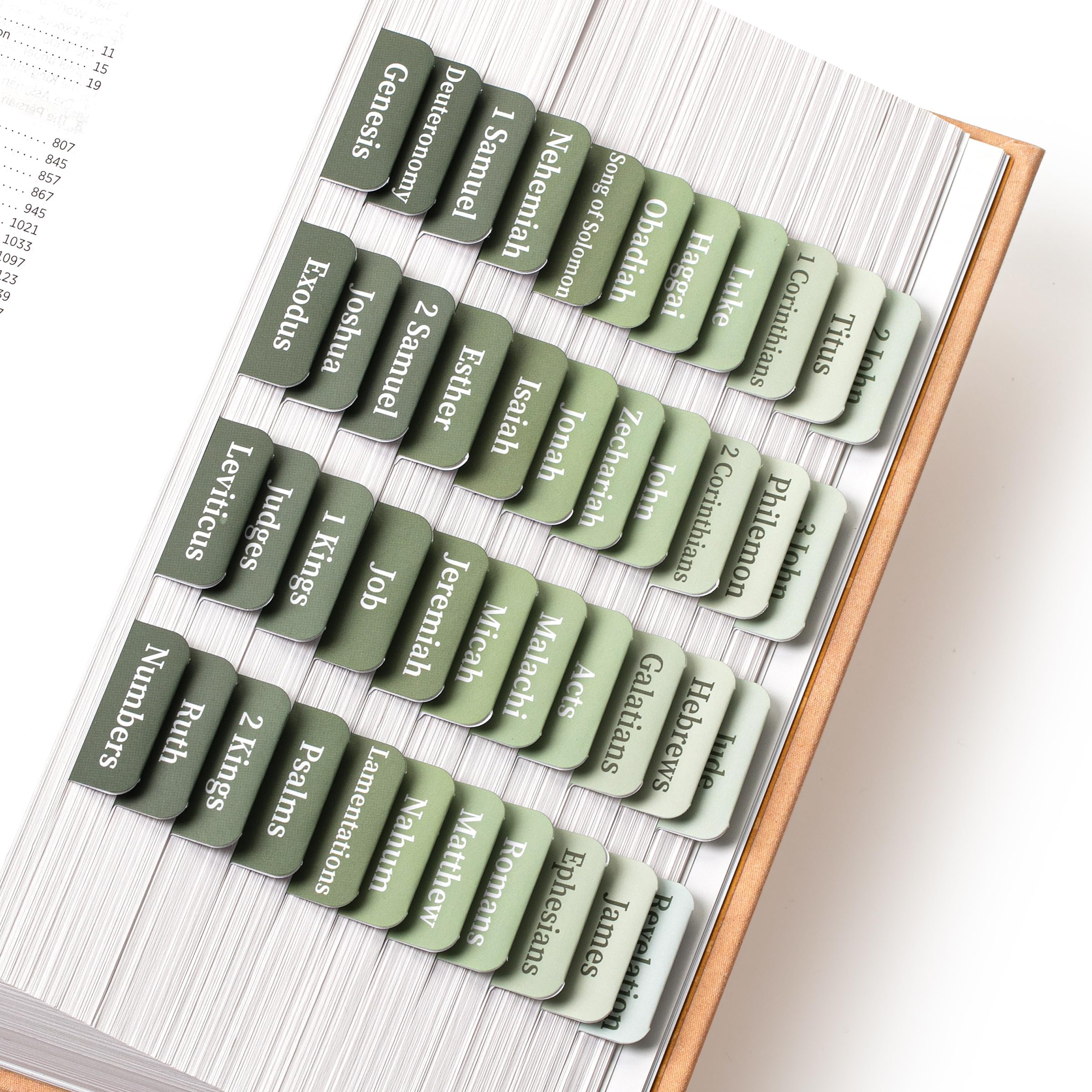 Amazon.com : Mr. Pen- Bible Tabs, 75 Tabs, Sage Green, Laminated Bible Tabs for Women and Men ...