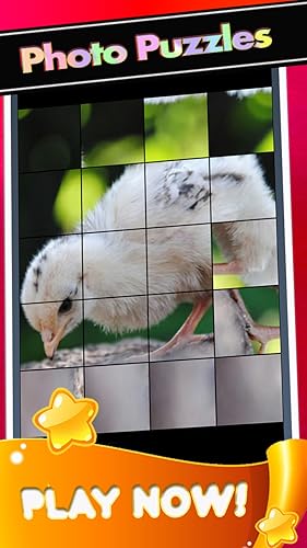 Cute Chick Pictures-Baby Chickens Puzzle Game - App on Amazon Appstore