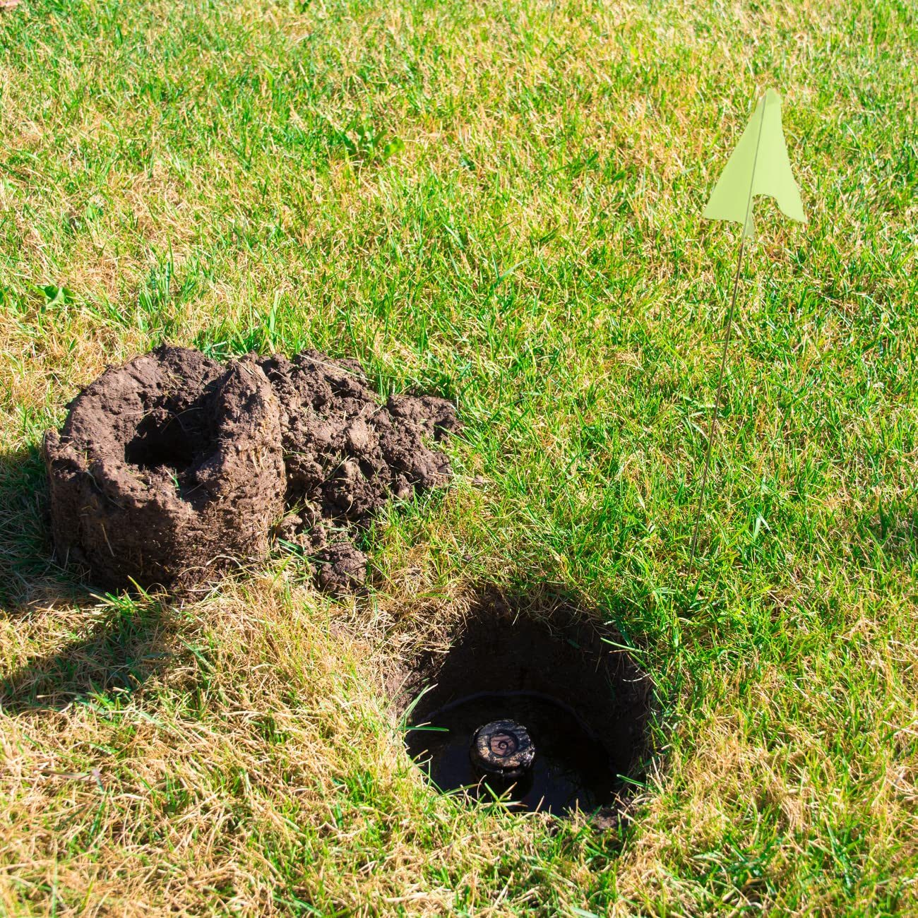 Snapklik.com : Fluorescent Lime Marking Flags 1000 Pack - 4x5x15 Inch ...