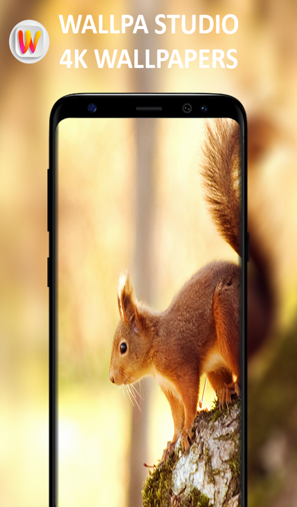 Wallpa 4k - App on Amazon Appstore