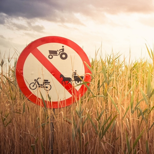 Lineca - Application sur Amazon Appstore