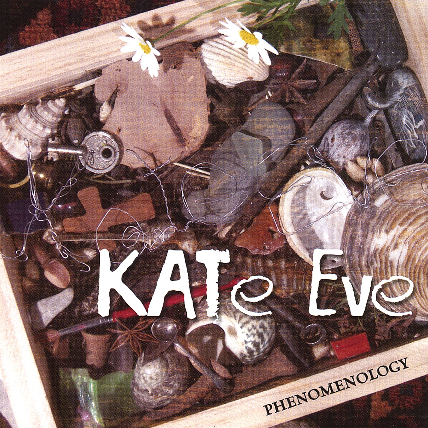 Kate Eve - Phenomenology - Amazon.com Music