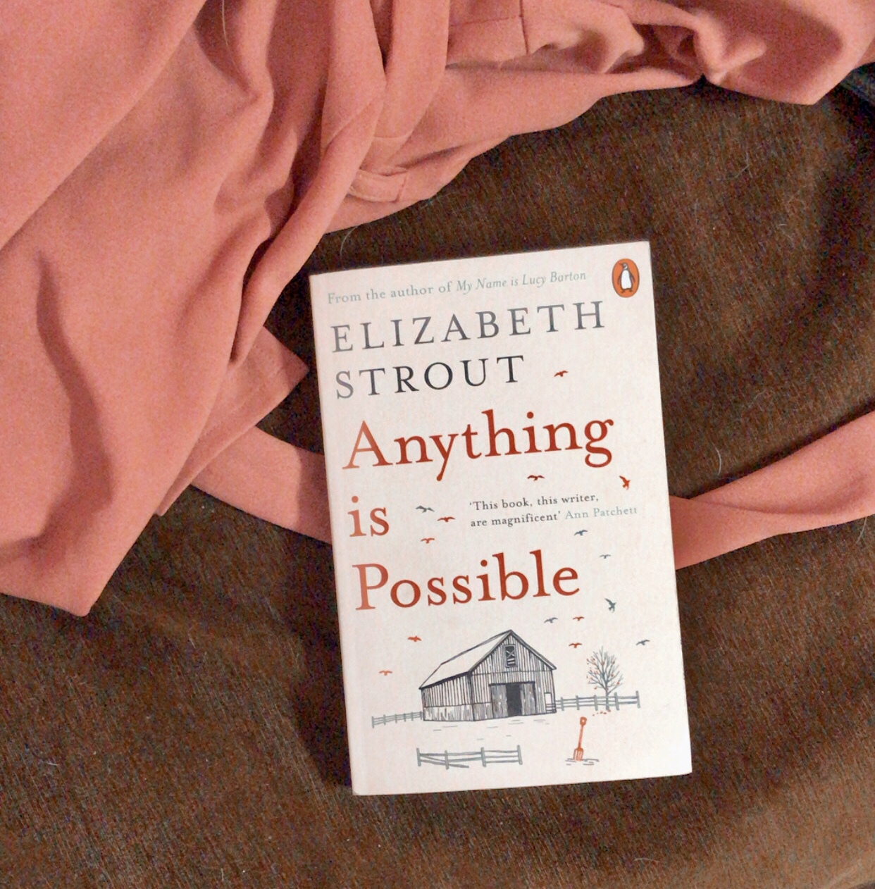 Buy Anything Is Possible: A Novel Book Online at Low Prices in India ...