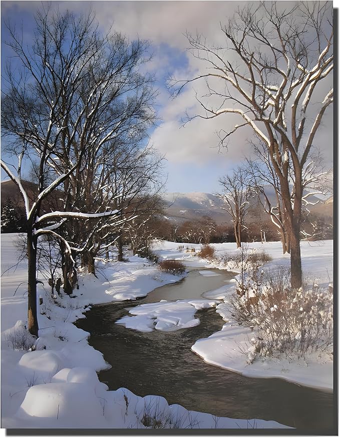Amazon.com: Impact Posters Gallery Scenery Winter Stream with Snow ...