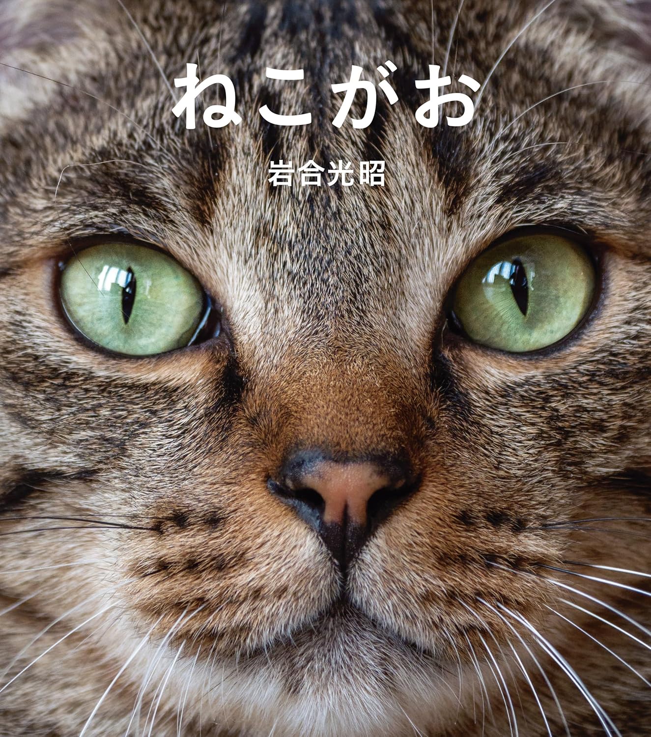 Amazon.co.jp: ねこがお (IWAGO’S BOOK 8) : 岩合 光昭: 本