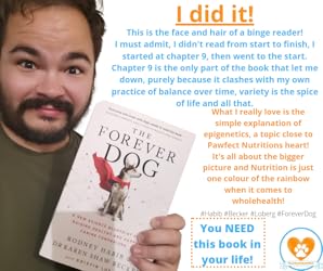 The Forever Dog: The New York Times and Sunday Times Bestselling Dog ...