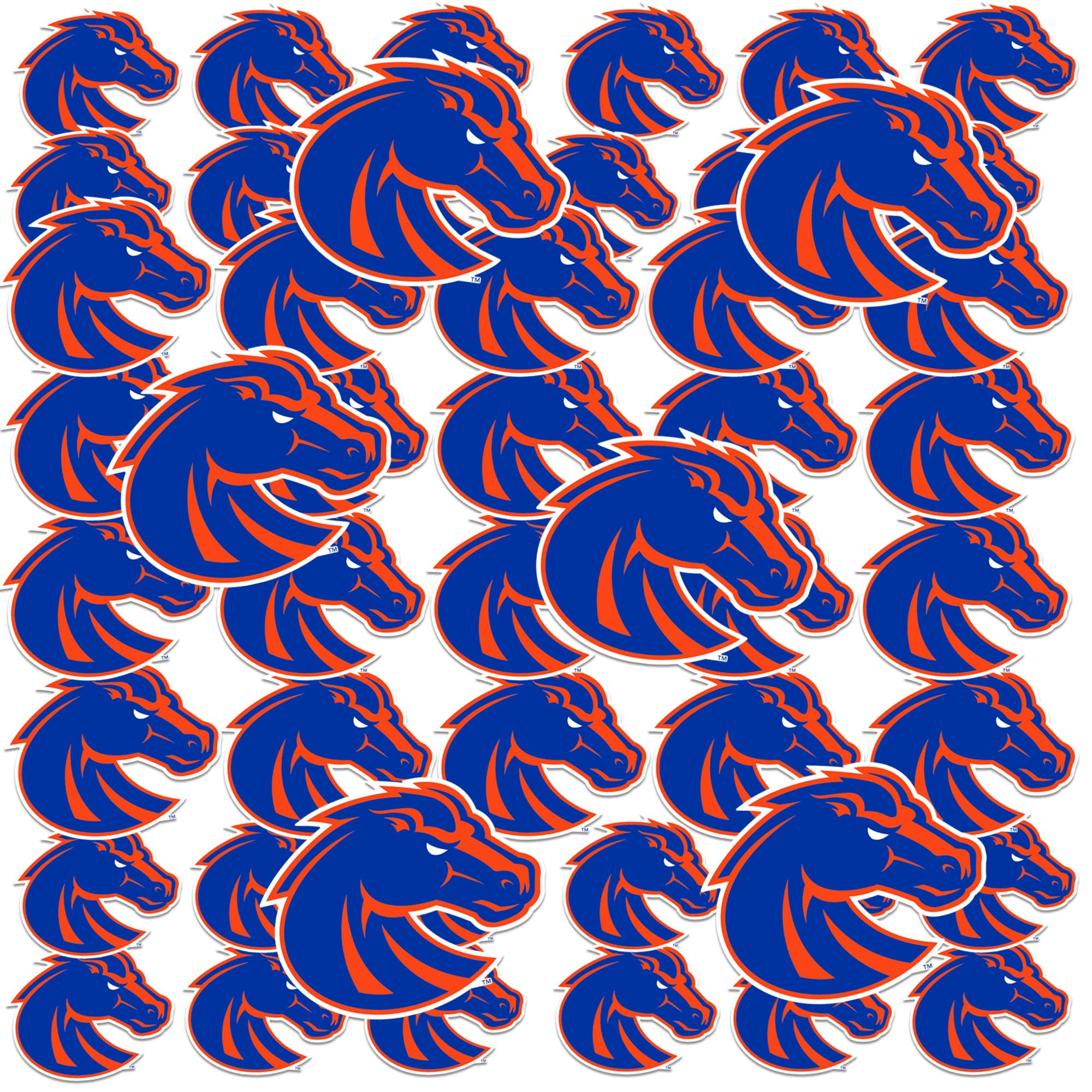 Amazon.com: Boise State University Primary Logo 50ct Vinyl Large Deluxe ...