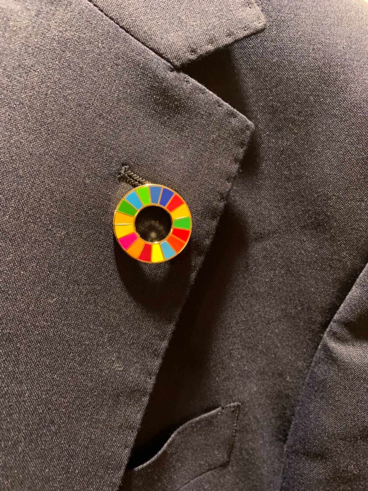 Amazon.co.jp: [Official United Nations Headquarters Specifications ...