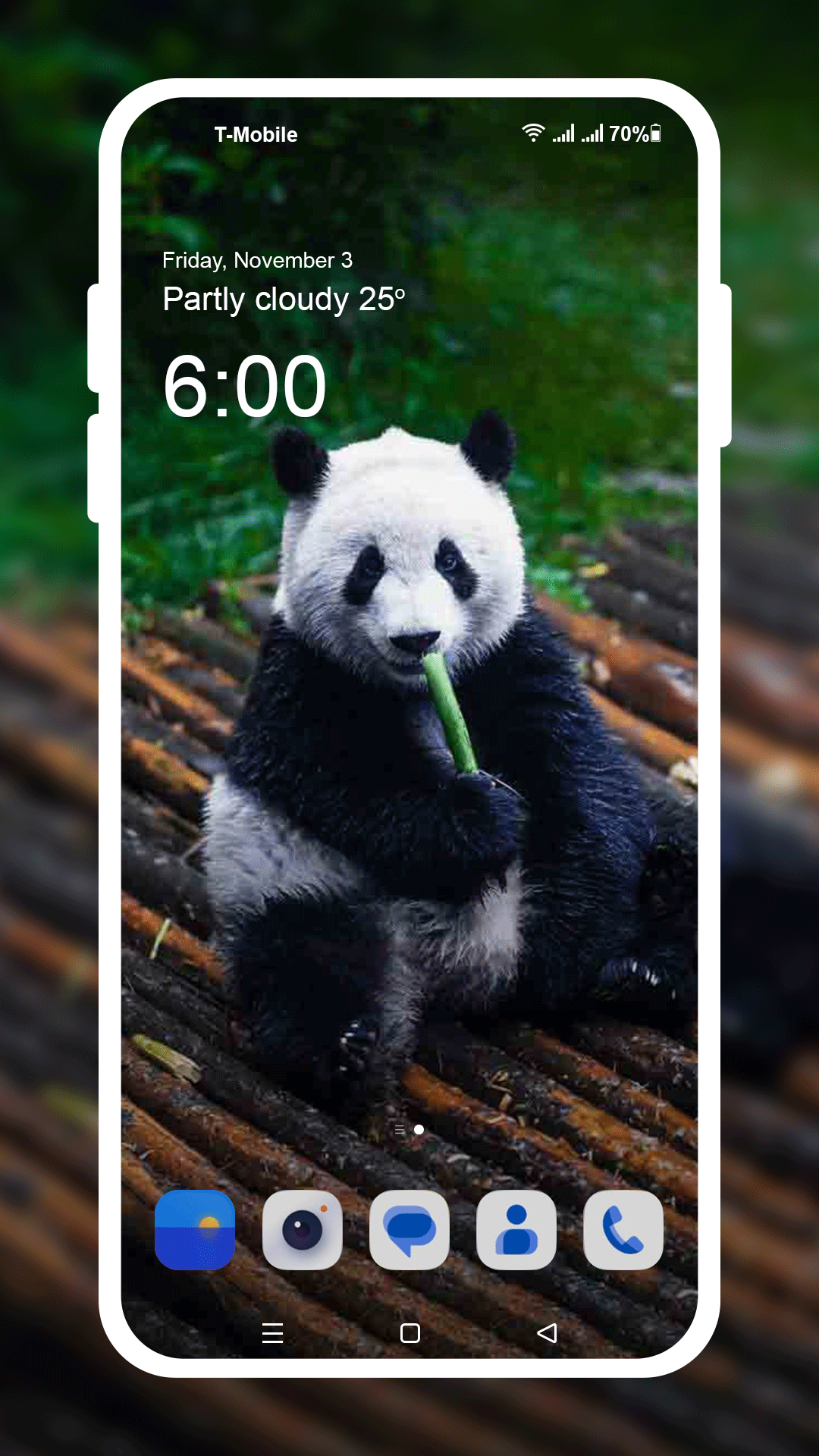 Cute Panda HD Wallpaper - App on Amazon Appstore