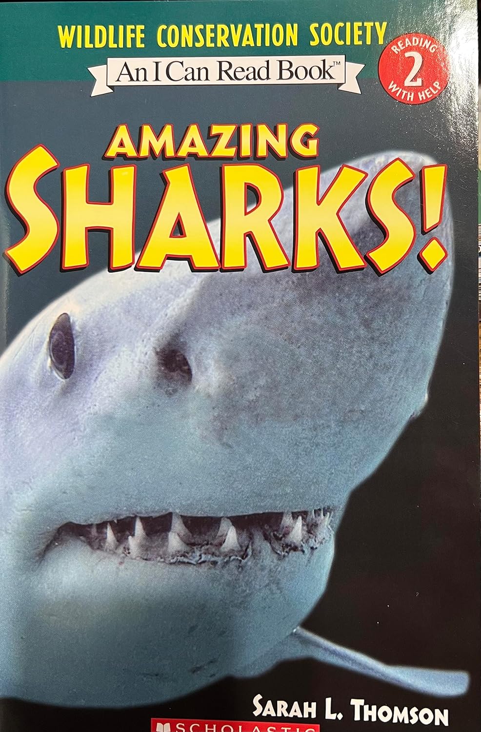 Amazing Sharks! Edition: Reprint: Thomson, Sarah L.: 9780439866675 ...