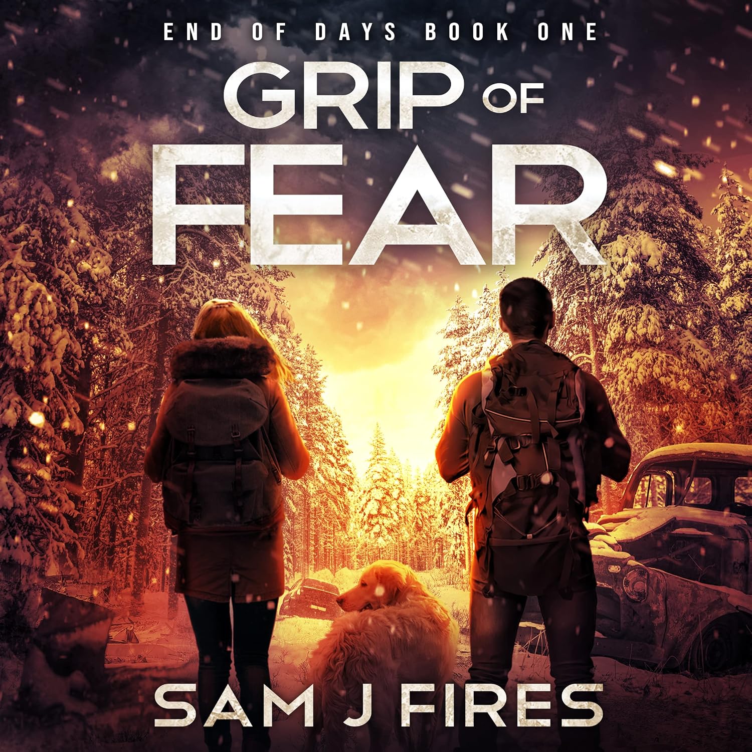 Amazon.com: Grip of Fear (The End of Days, 1): 9781666616828: Fires ...