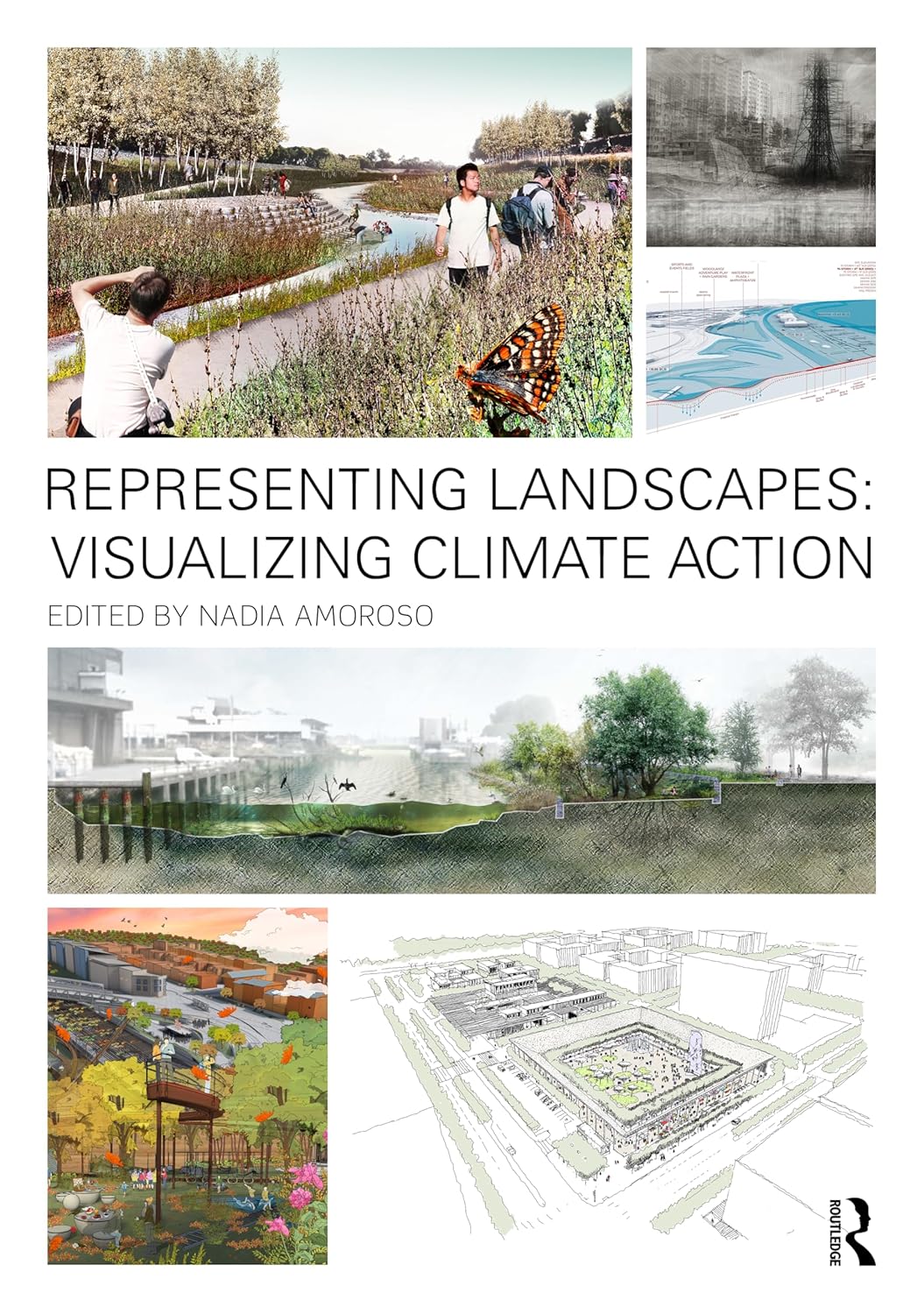 Representing Landscapes: Visualizing Climate Action | Amazon.com.br