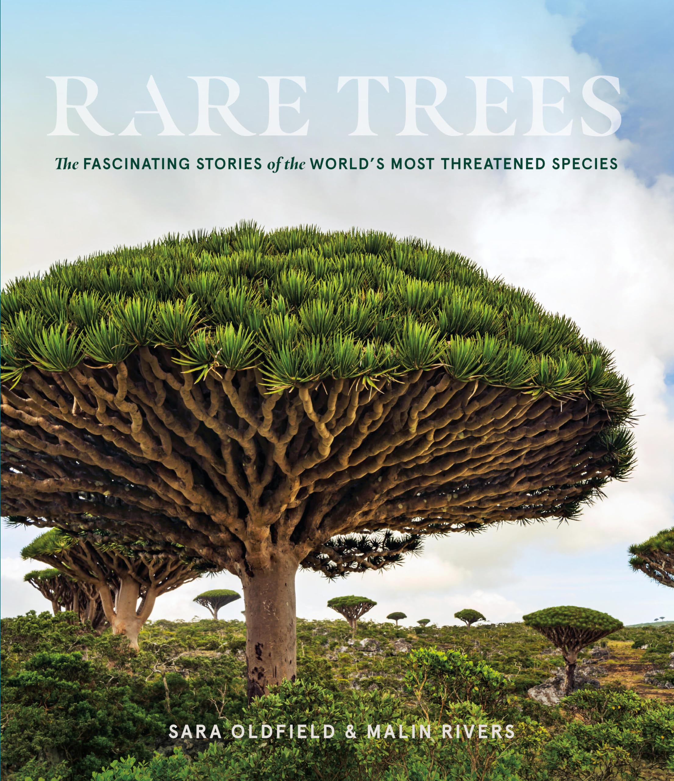 Amazon.com: Rare Trees: The Fascinating Stories of the World’s Most ...