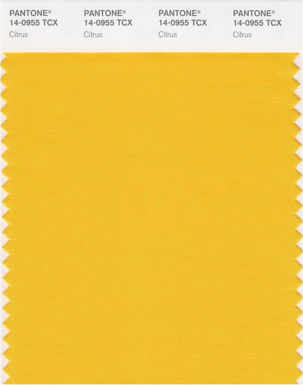 PANTONE SMART 14-0955X Color Swatch Card, Citrus - House Paint - Amazon.com