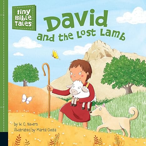 Amazon.com: David and the Lost Lamb (Tiny Bible Tales): 9781524785901 ...