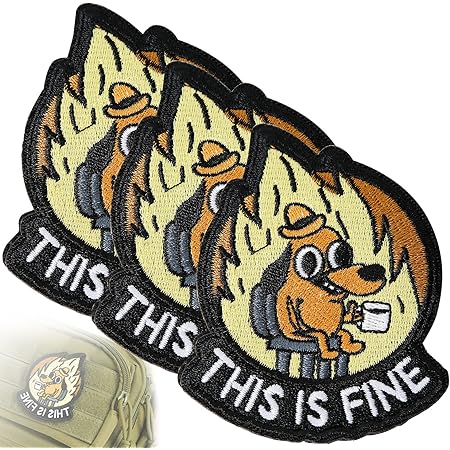 Amazon.com: This is Fine Dog Patch, 3 Pcs Funny Meme Embroidered ...