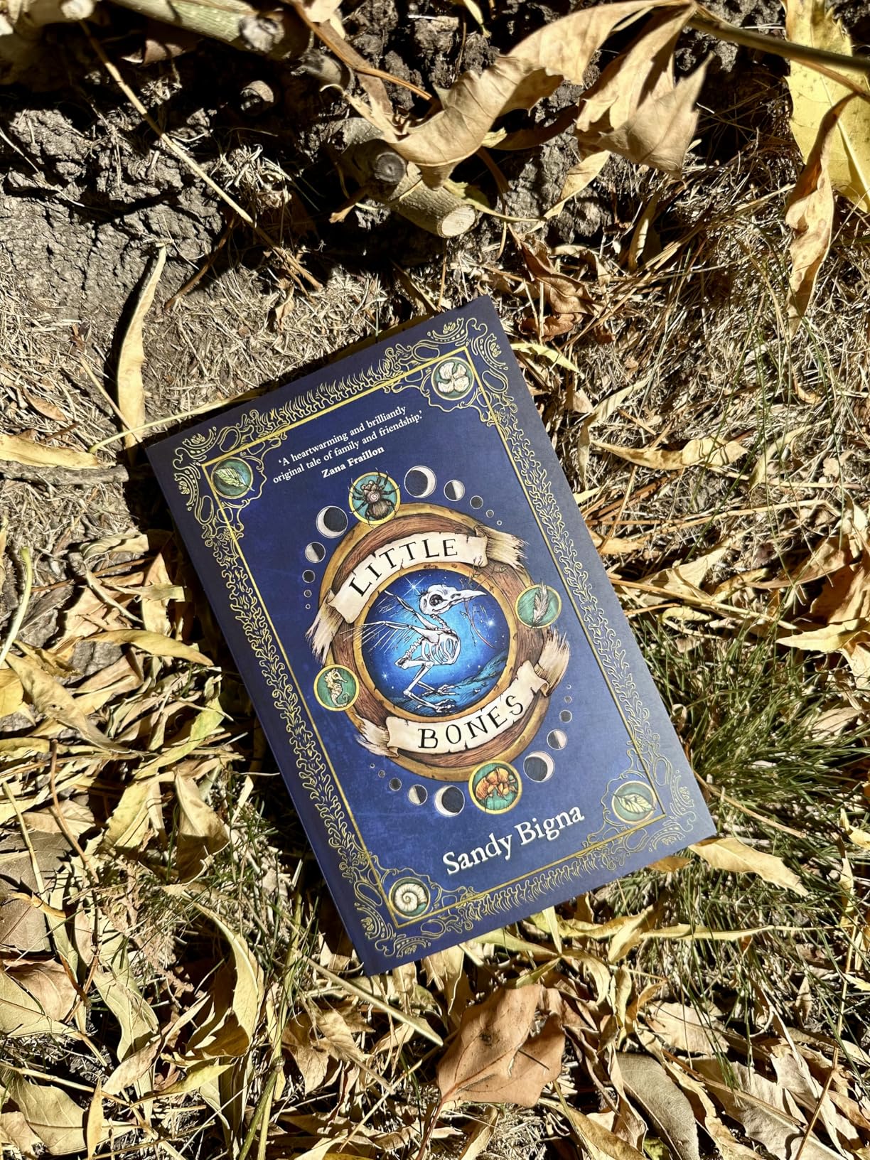 Little Bones: Shortlisted, 2026 CBCA Book of the Year Younger Readers ...