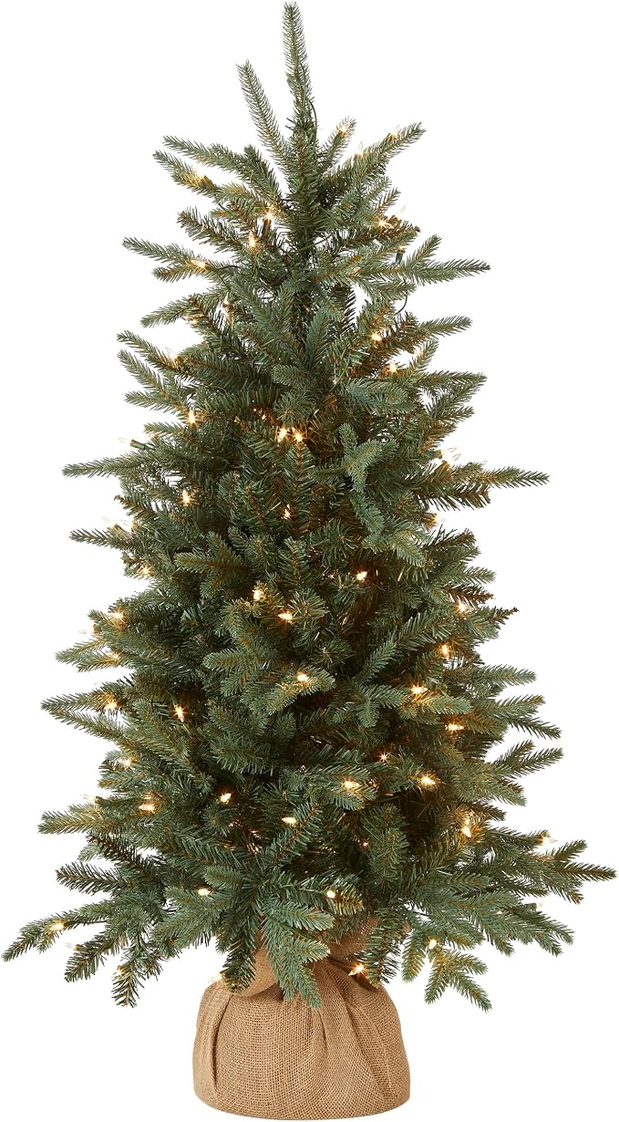 Amazon.com: National Tree Company 4 ft Pre-Lit Everyday Collection Mini ...