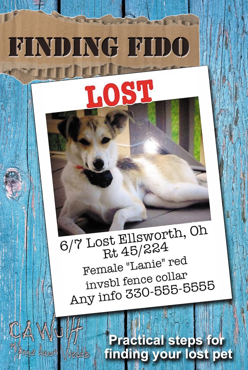 Amazon.com: Finding Fido: Practical Steps for Finding Your Lost Pet ...