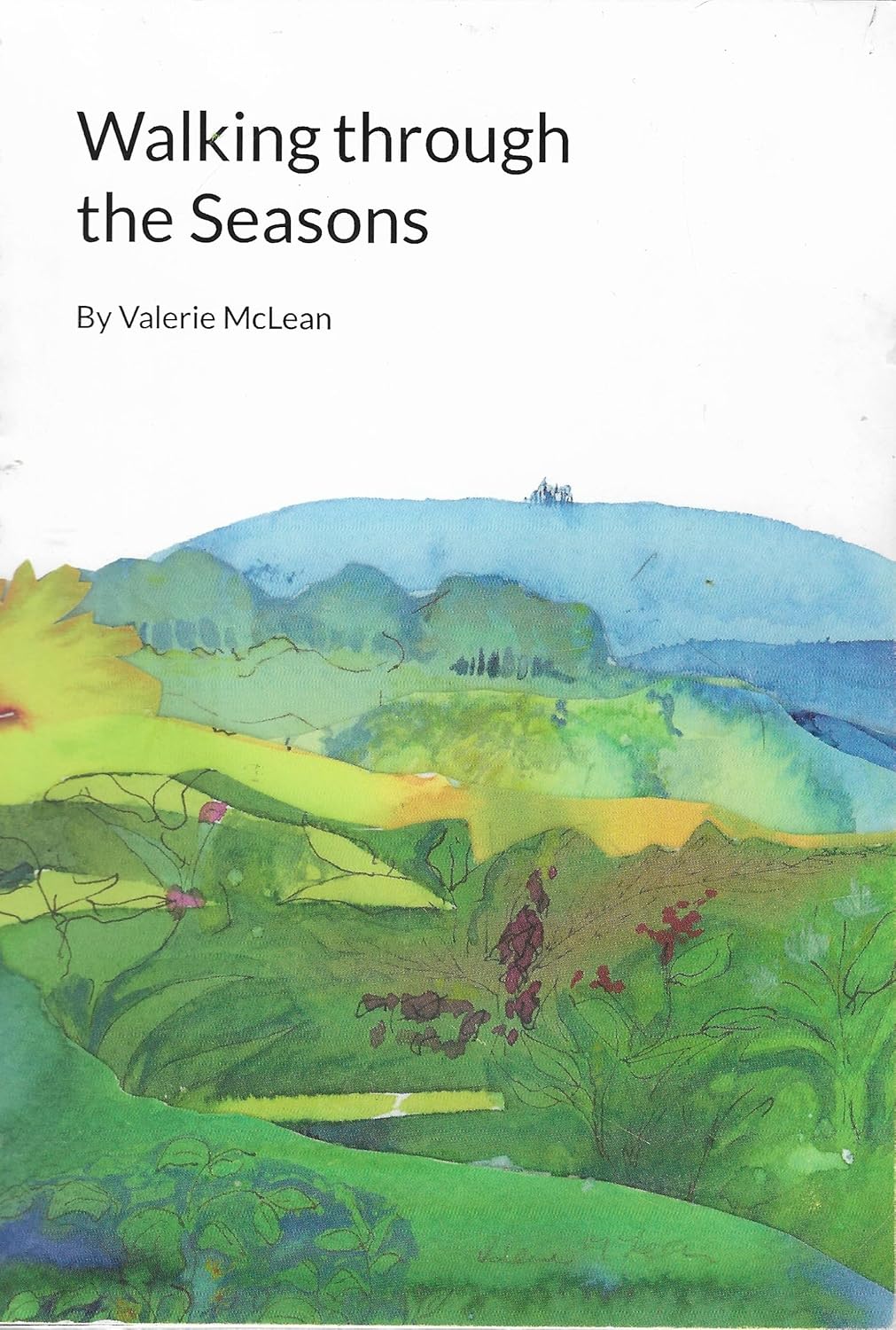 Walking through the Seasons: Amazon.co.uk: McLean, Valerie ...