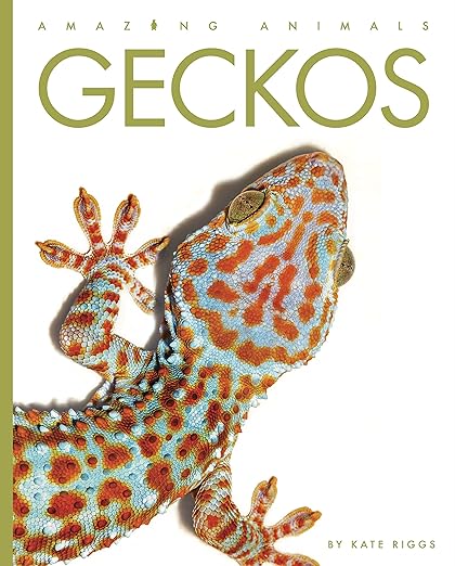 Geckos (Amazing Animals): Riggs, Kate: 9781682770986: Amazon.com: Books