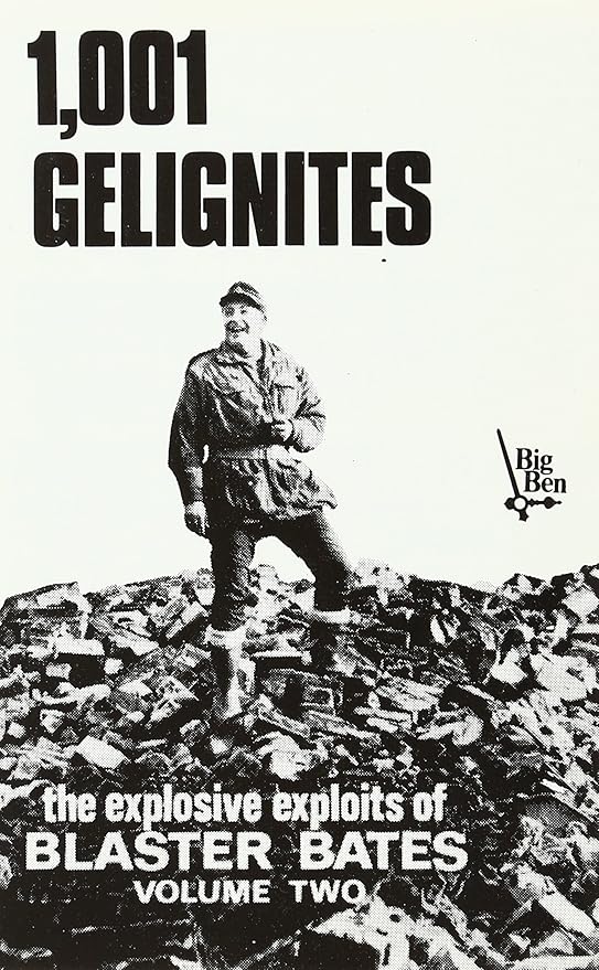Vol.2: 1001 Gelignites: Blaster Bates: Amazon.in: Music}