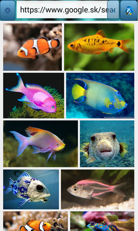 Penguin browser - Application sur Amazon Appstore