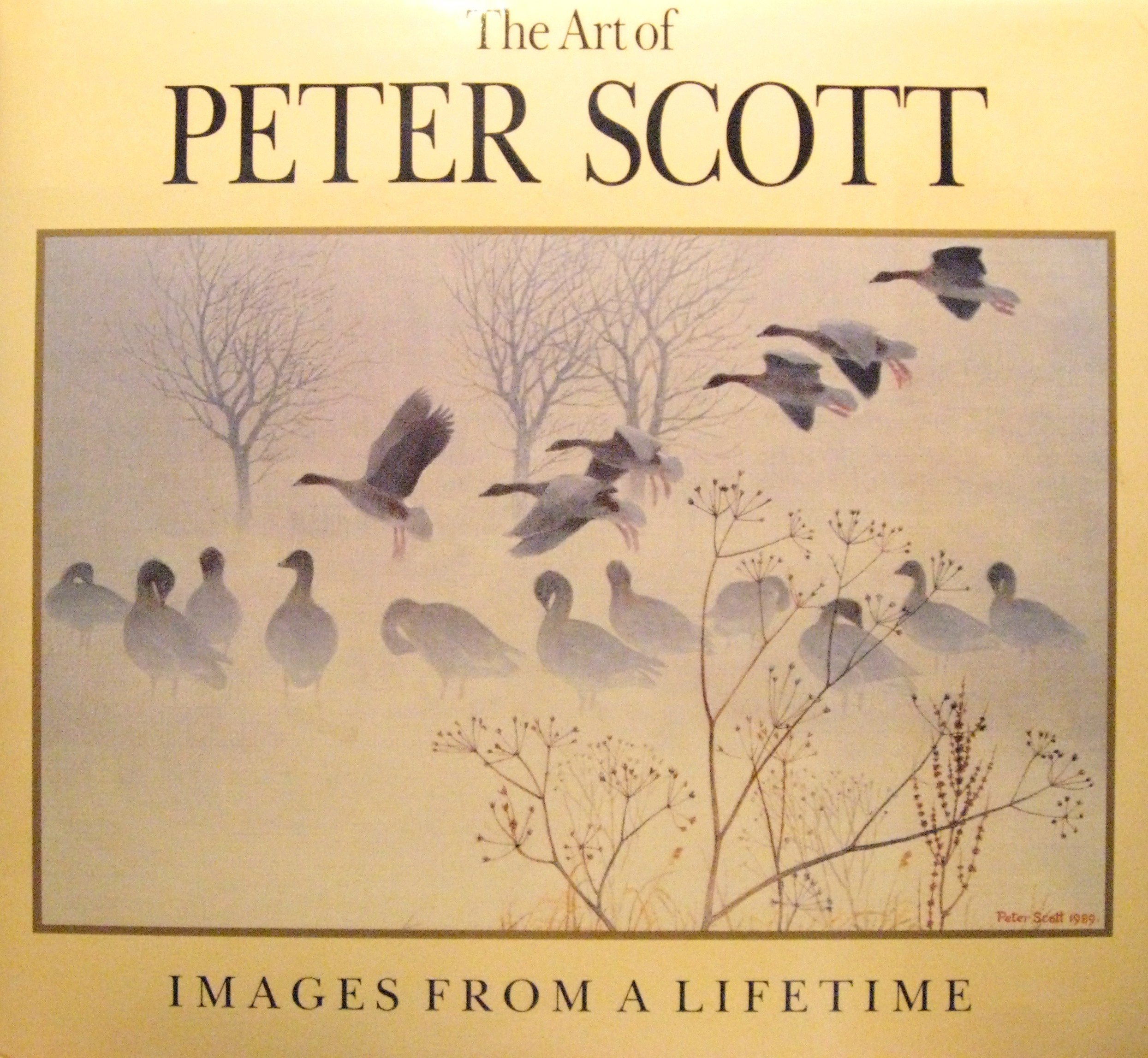 The Art of Peter Scott: Images from a Lifetime: Phillipa Scott, Peter ...