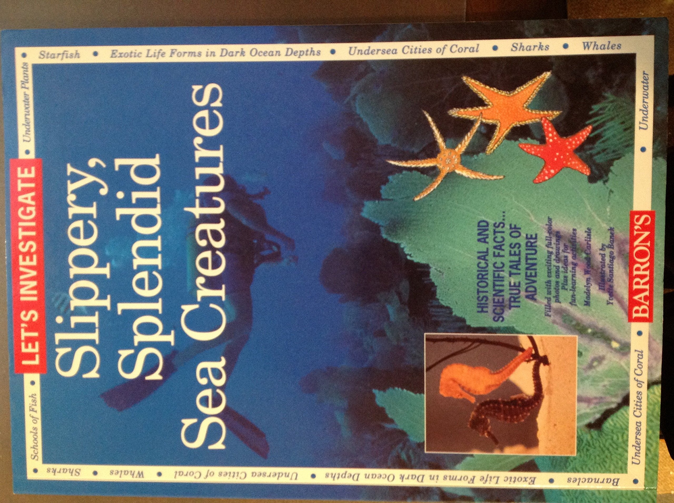 Let's Investigate Slippery, Splendid Sea Creatures: Carlisle, Madelyn ...