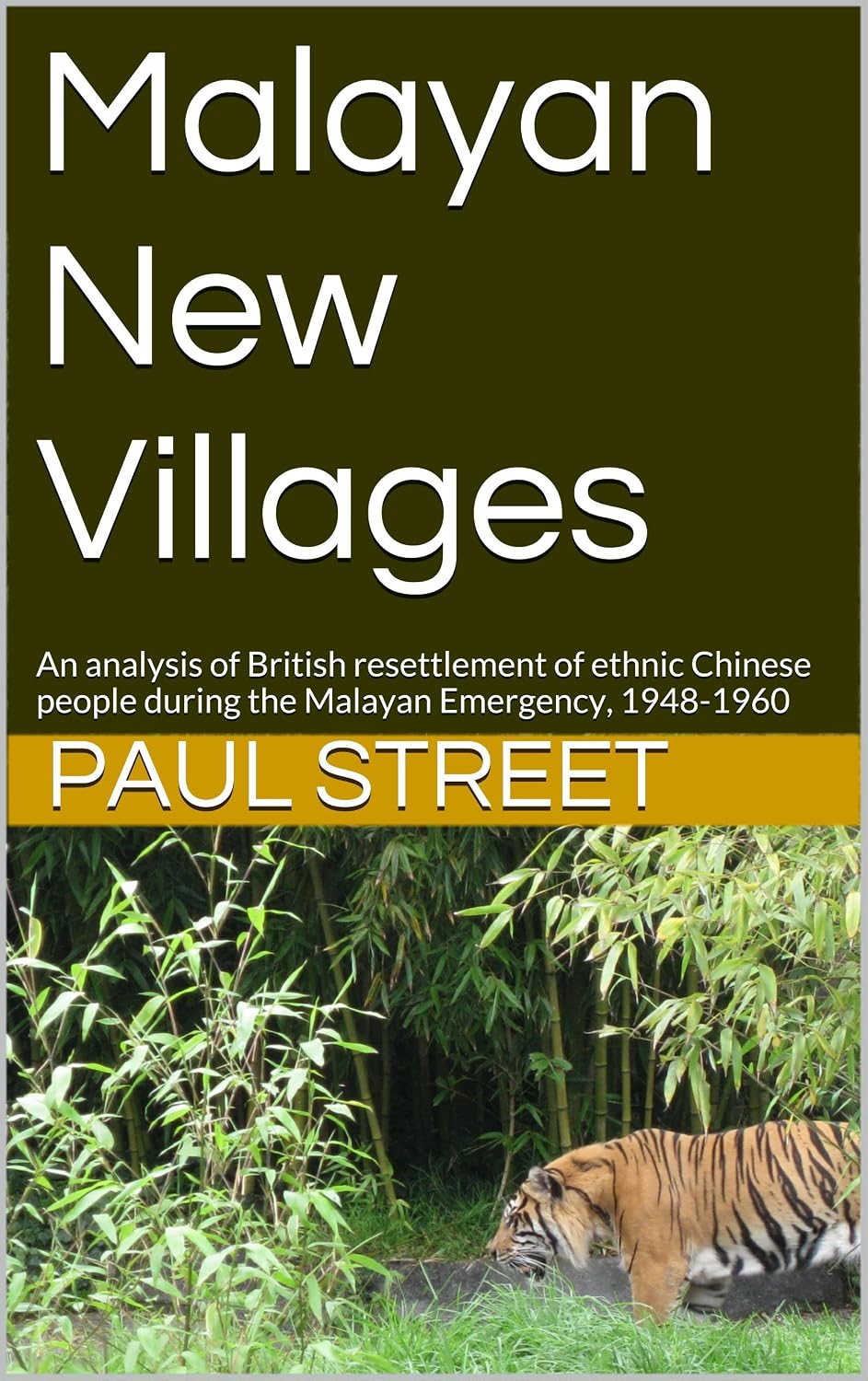 Amazon.com: Malayan New Villages: An analysis of British resettlement ...