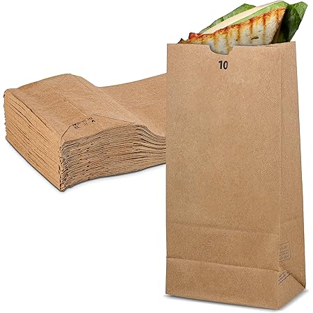 Amazon.com: Stock Your Home 20 Lb Kraft Brown Paper Bags (100 Count ...