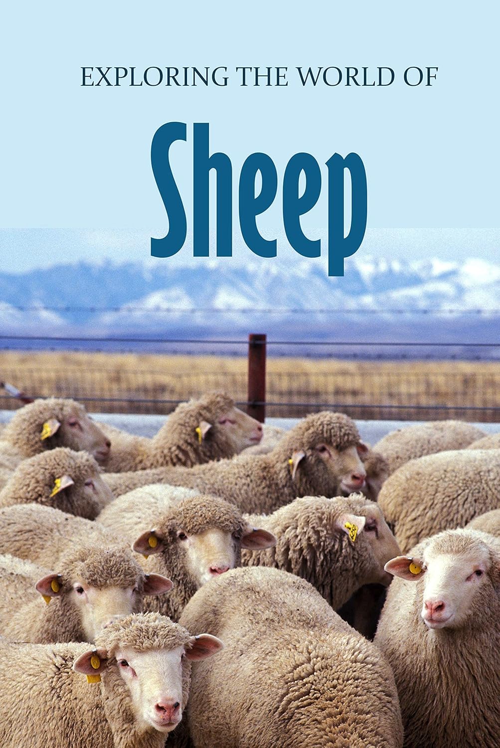 Exploring the World of Sheep: Educational Animals Book For Kids eBook ...