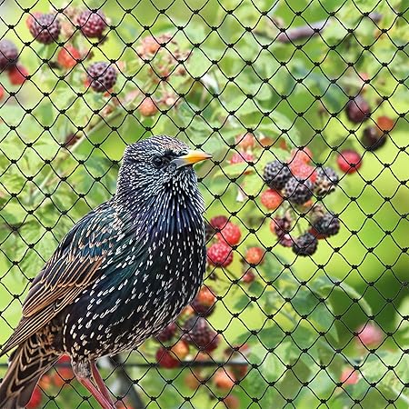 Amazon.com : Excursions Aviary Netting Heavy Knotted 2 inch Poultry Net ...