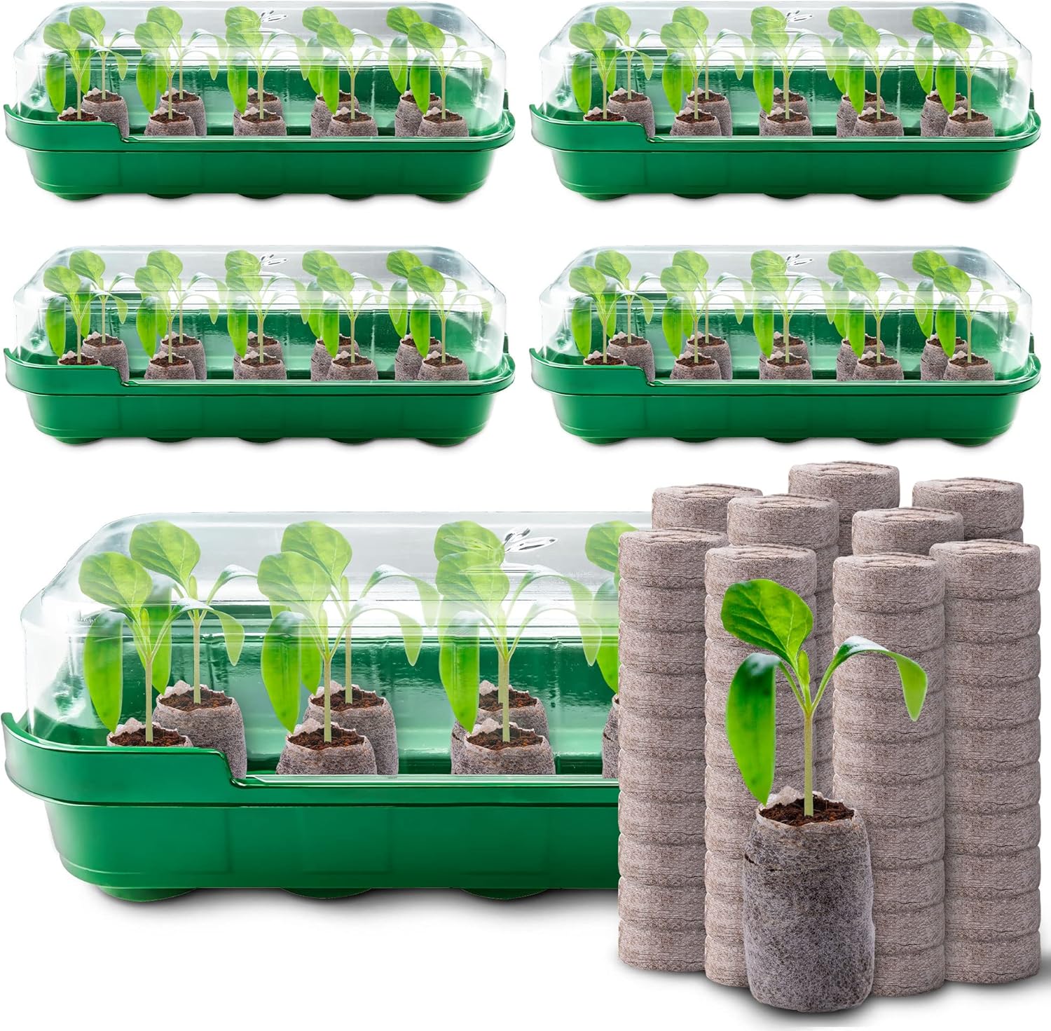 Amazon.com : 5 Pack Seed Starter Tray Seeding Starter Kits (50 Cells ...