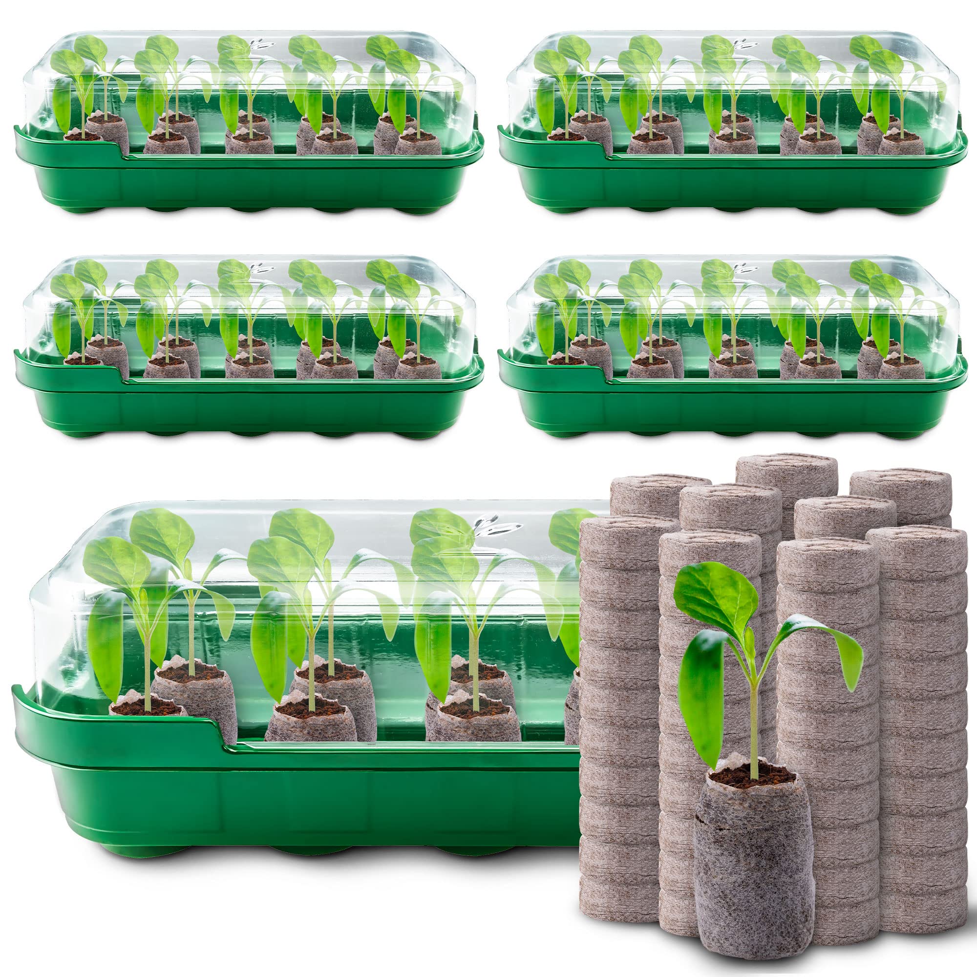 Amazon.com : 5 Pack Seed Starter Tray Seeding Starter Kits (50 Cells ...