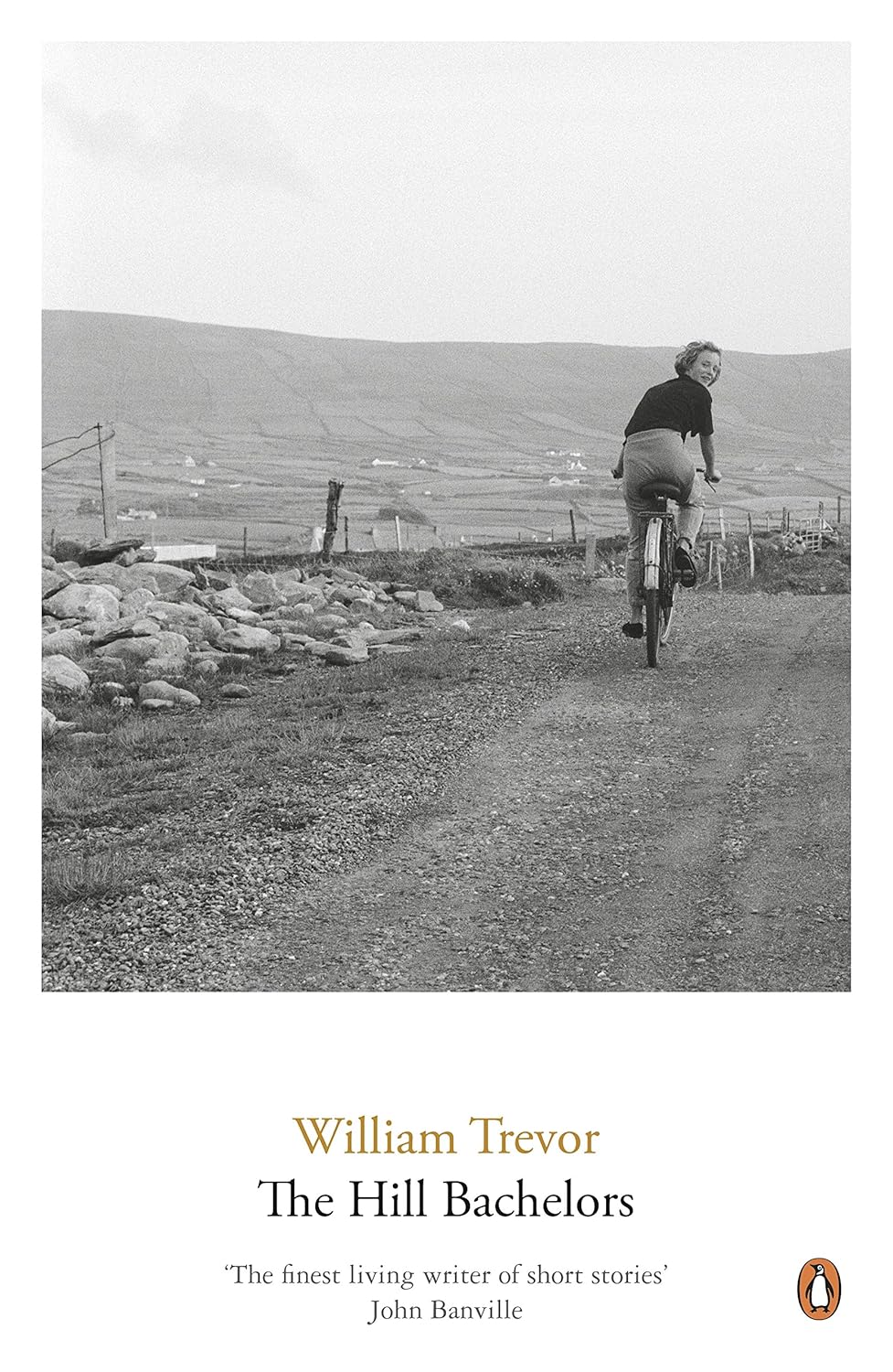 The Hill Bachelors eBook : Trevor, William: Amazon.in: Kindle Store