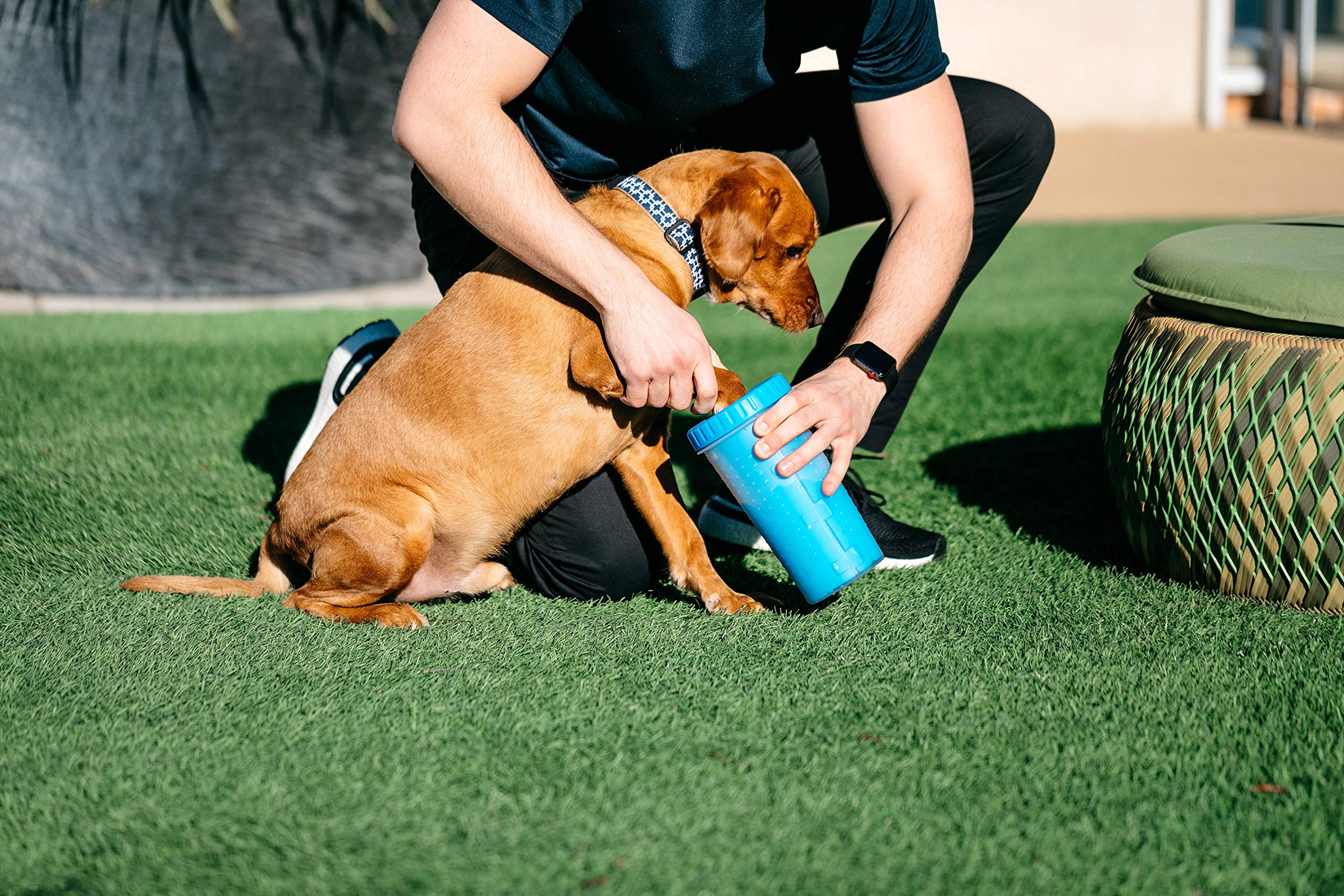 Snapklik.com : Dexas MudBuster Portable Dog Paw Washer/Paw Cleaner