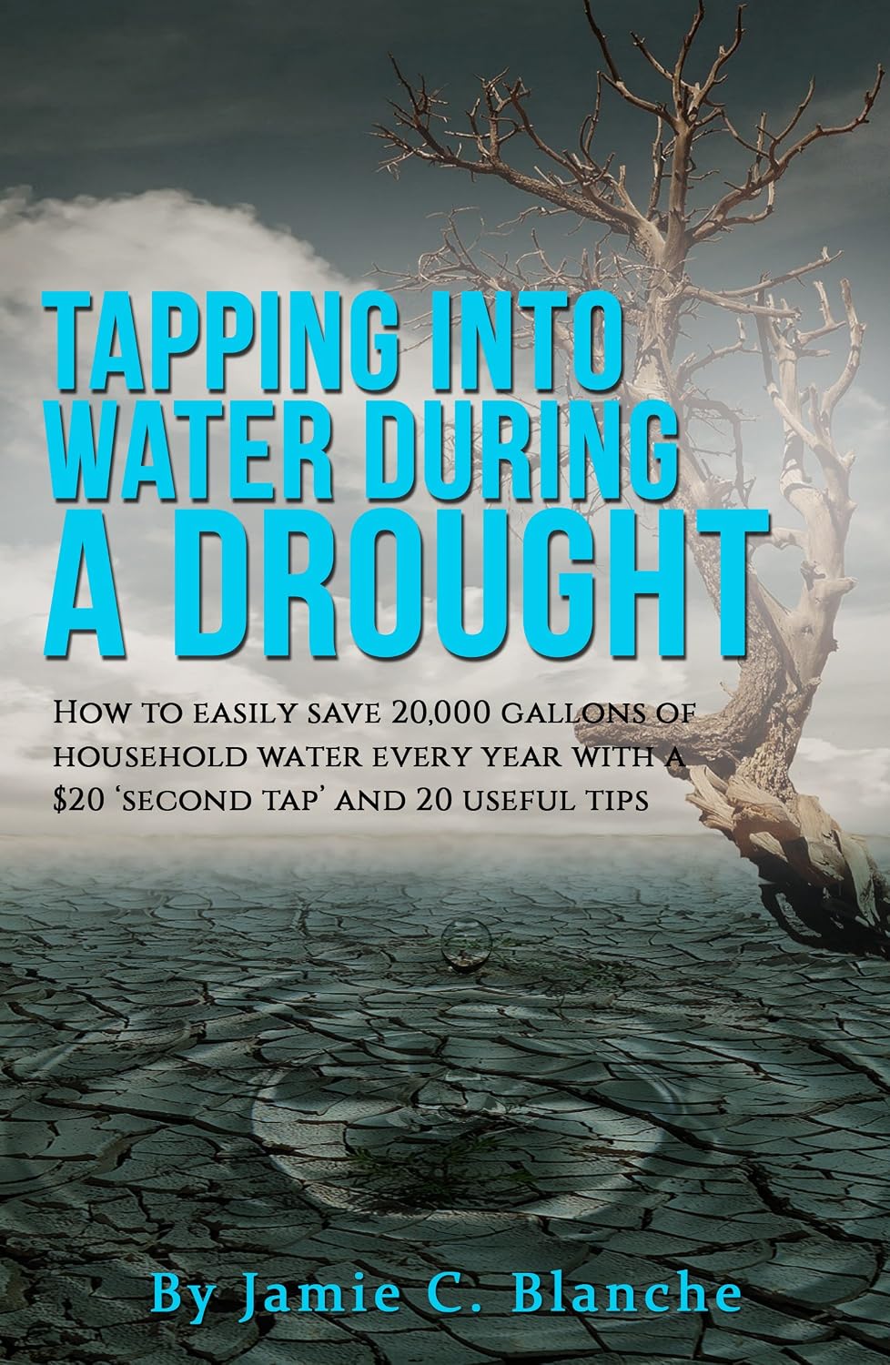 Tapping Into Water During A Drought: How to easily save 20,000 gallons ...