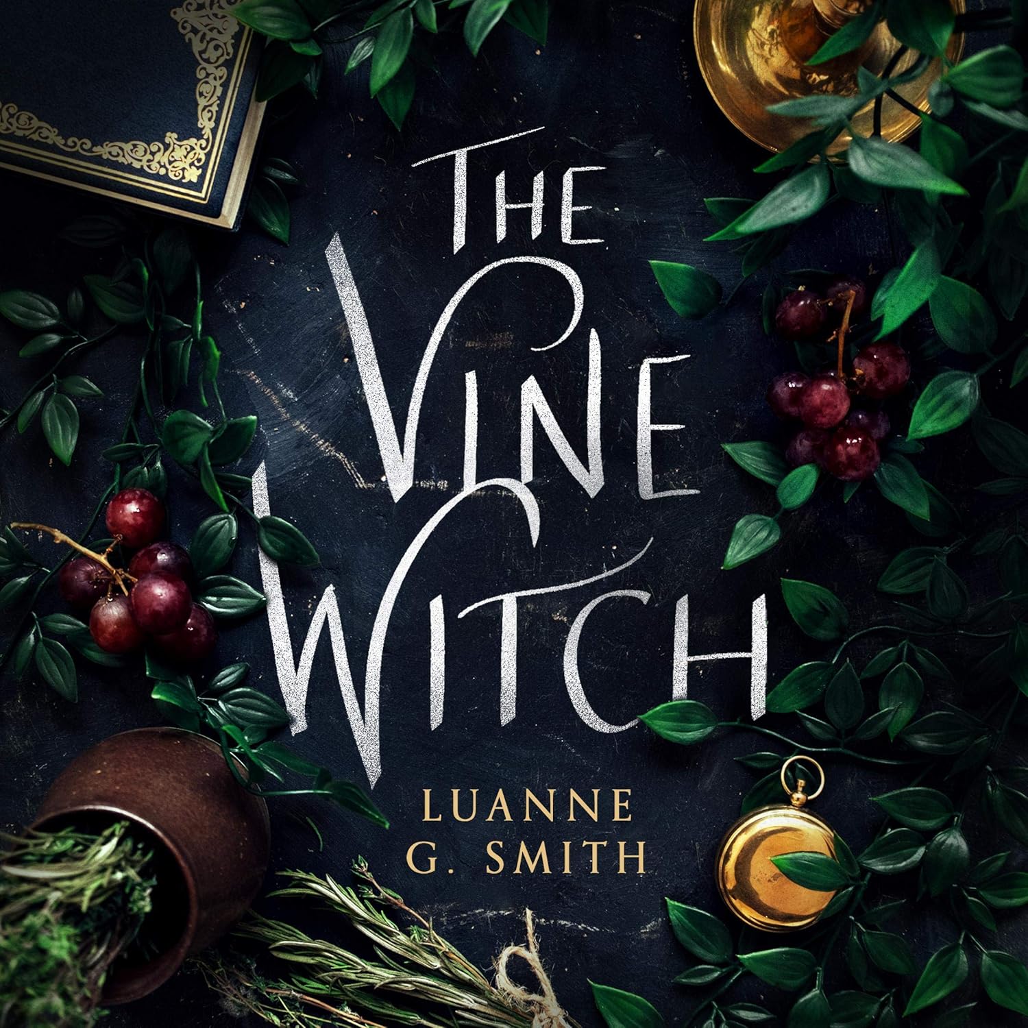 Amazon.com: The Vine Witch: The Vine Witch, Book 1 (Audible Audio ...