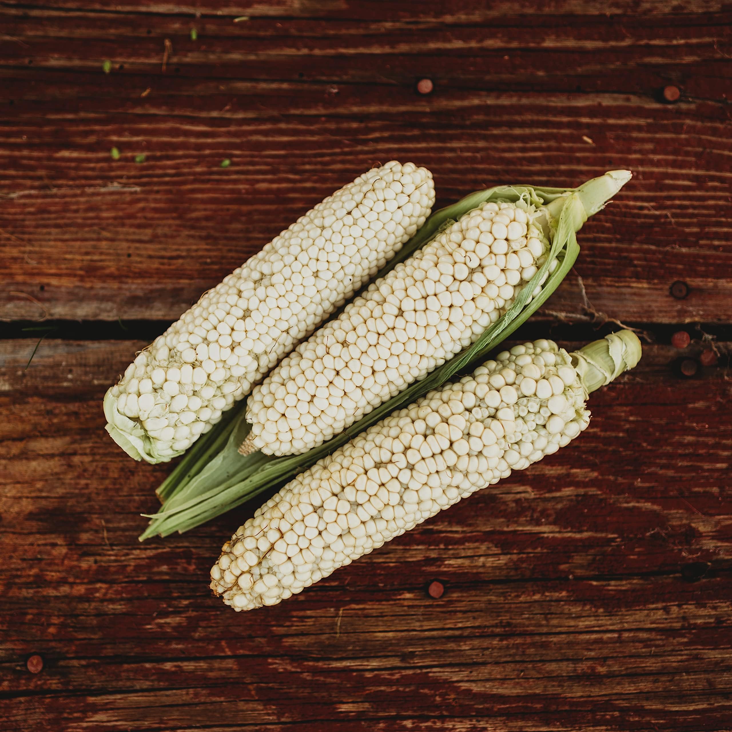 Amazon.com : Country Gentleman Sweet Corn - 50 Seeds - Heirloom White ...