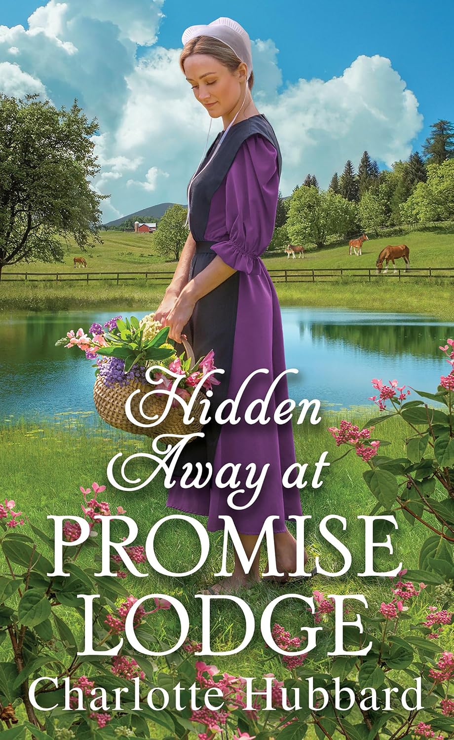 Hidden Away at Promise Lodge: Hubbard, Charlotte: 9781420154412: Amazon ...
