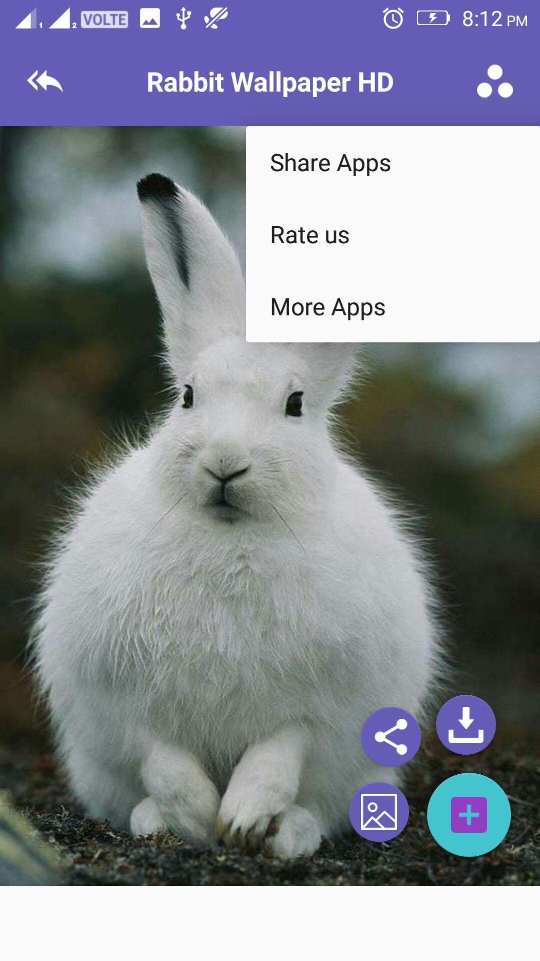 Rabbit 4K Wallpaper - App on Amazon Appstore